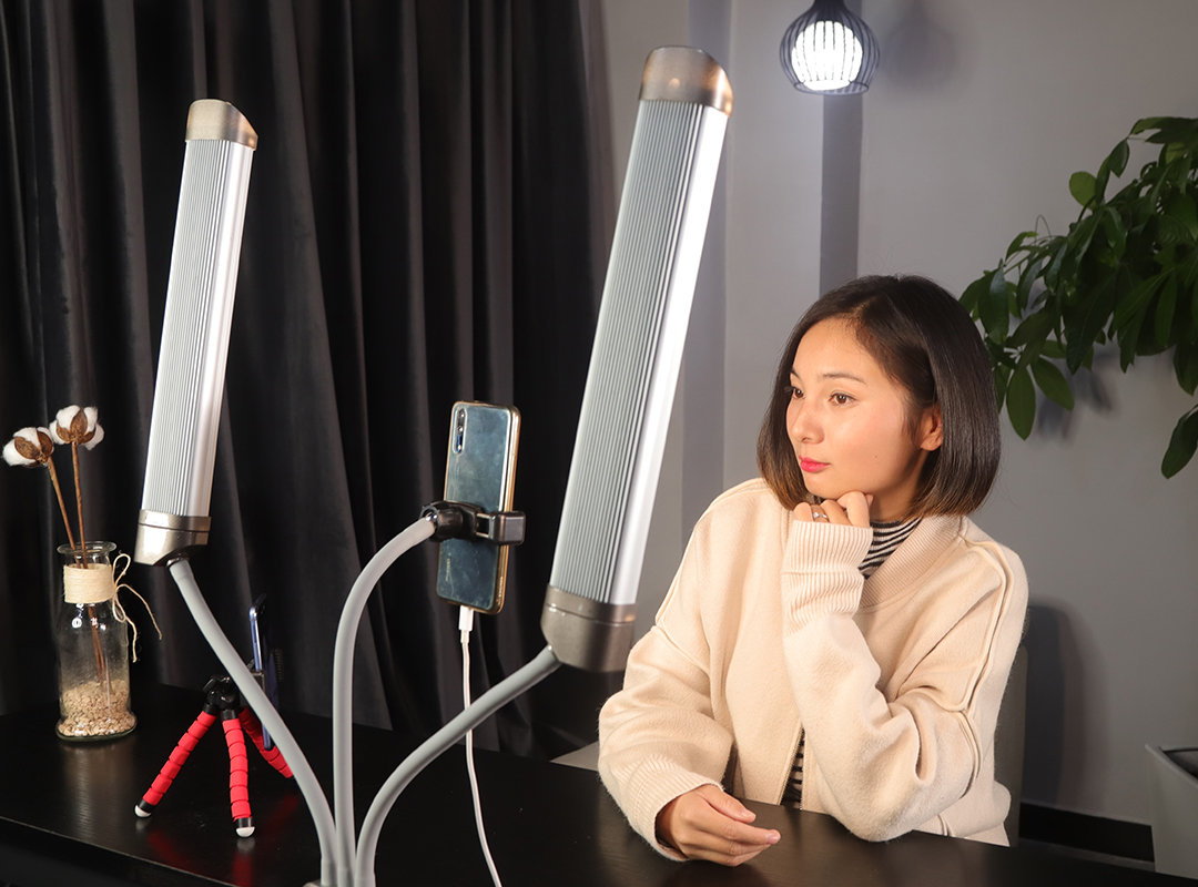 Two Arms Selfie Light with Stand for Makeup, Phone or Mirror